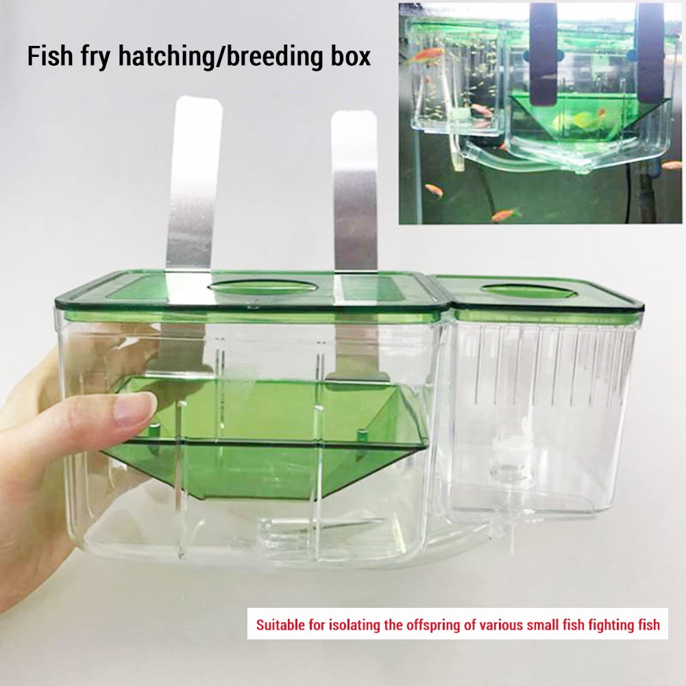Fish Breeder Box, Fish Isolation Breeding Box, Aquarium Fish Tank ...