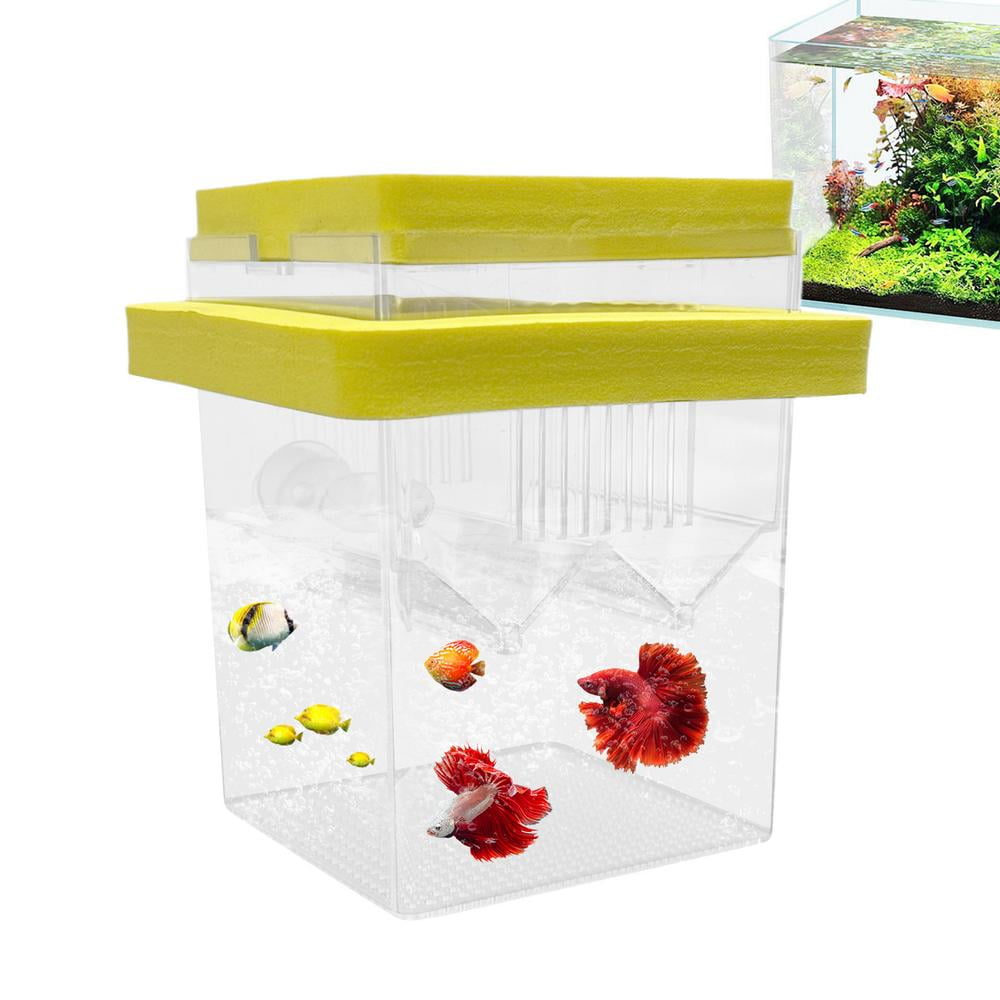 Fish Breeding Box Float Small Shrimp Isolation Divider Hatching Box ...