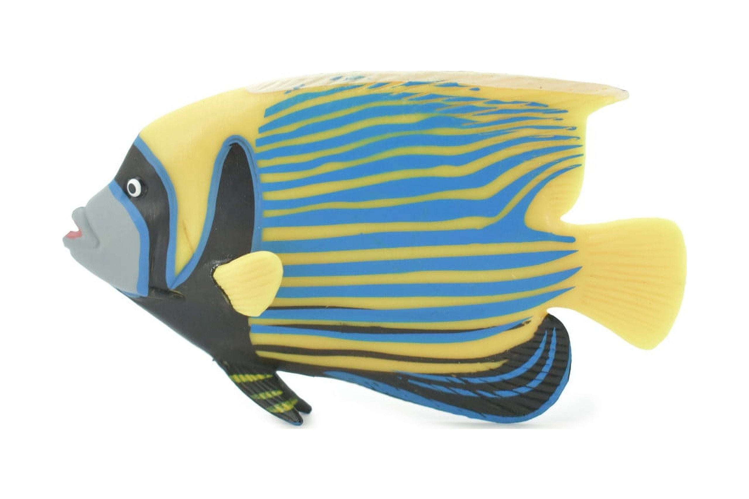 Fish, Emperor Anglefish, Museum Quality, Hand Painted, Rubber ...