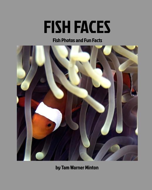 Fish Faces: Fish Photos and Fun Facts, (Paperback) - Walmart.com