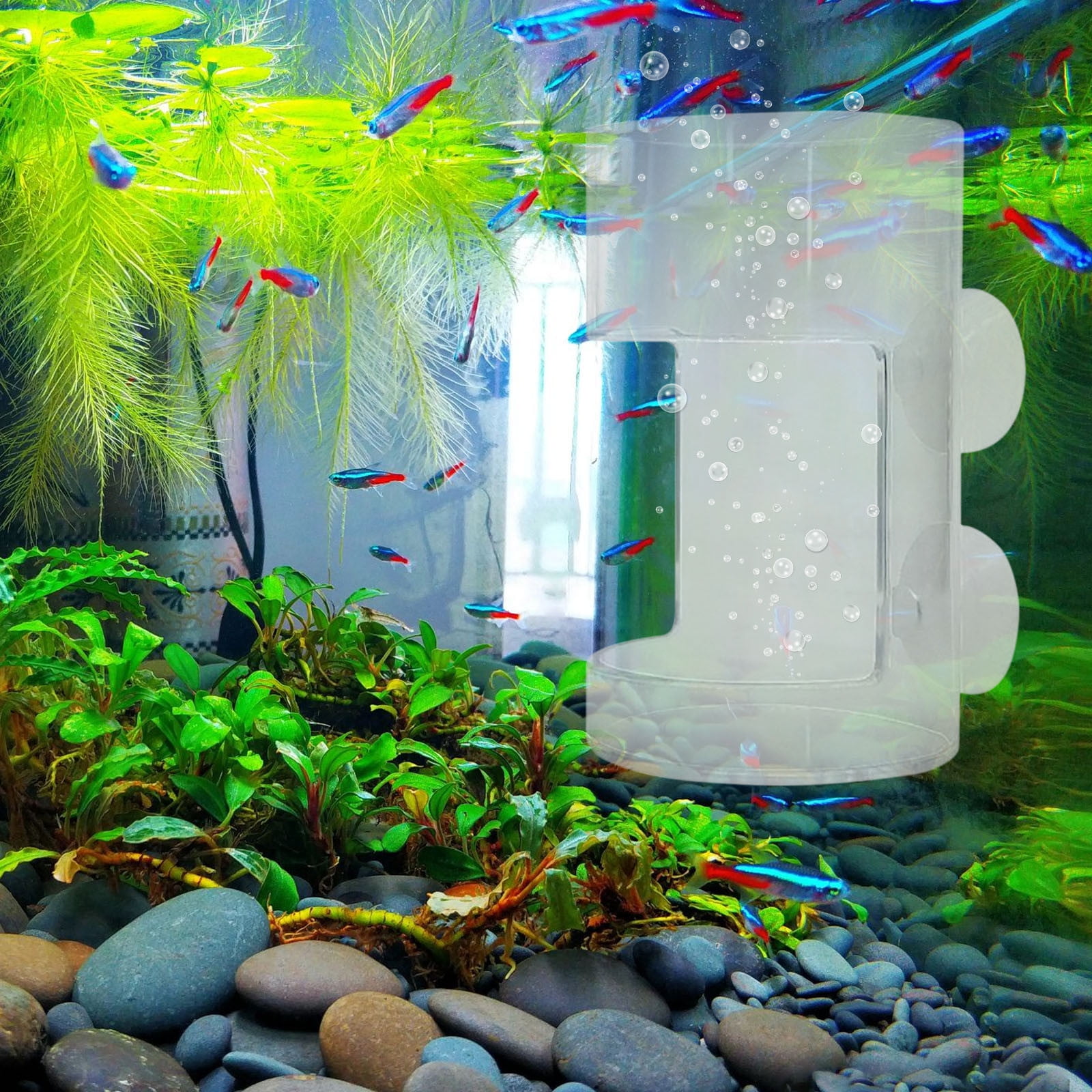 Fish Feeder for Aquarium Fishs Feeding Tube Ring with Suction Cup No ...