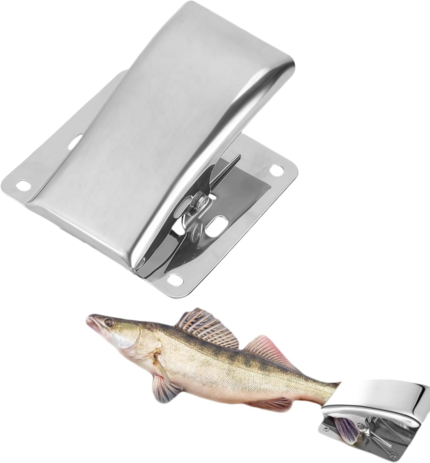 Fish Fillet Cleaning Tool Set: Stainless Steel Fish Lip Gripper & Deep ...