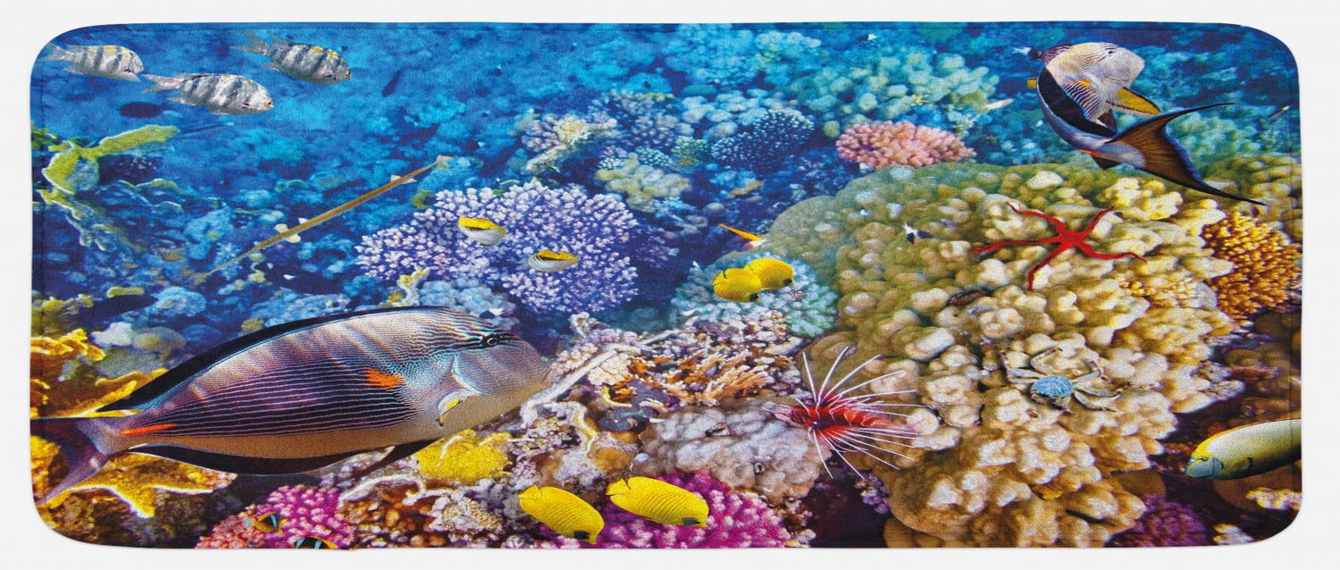 Fish Kitchen Mat, Egyptian Red Sea Bottom View with Marine Creatures ...