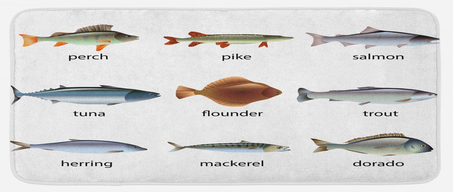 Fish Kitchen Mat, Group of Animals Perch Tuna Pike Flounder Mackerel ...