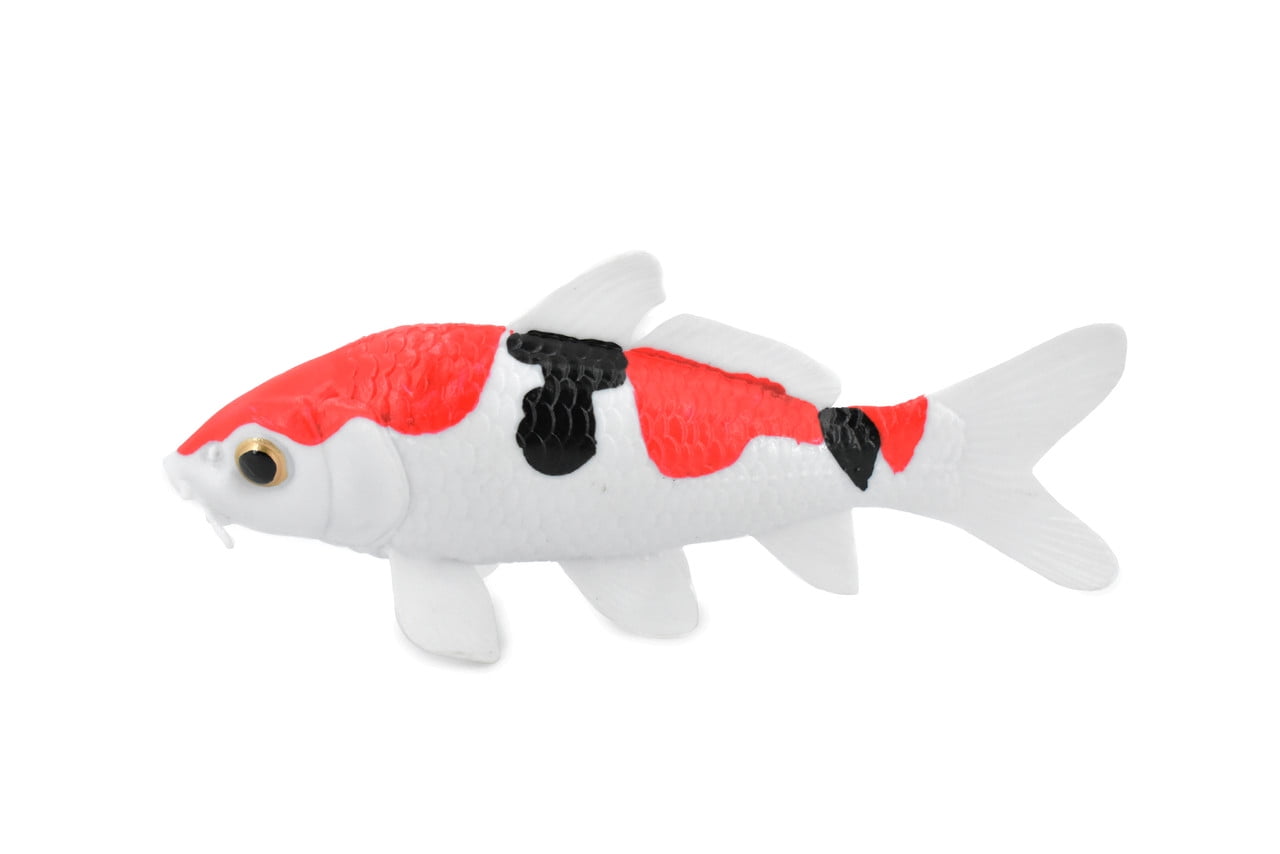 Fish, Koi, Amur Carp, Asian, Japanese Koii, Museum Quality, Hand ...