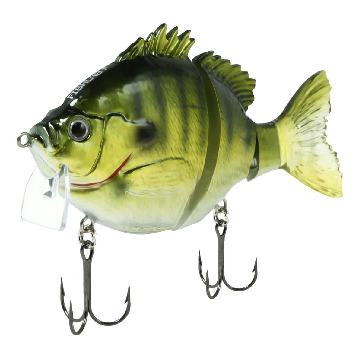 Buy Bluegill For Pond