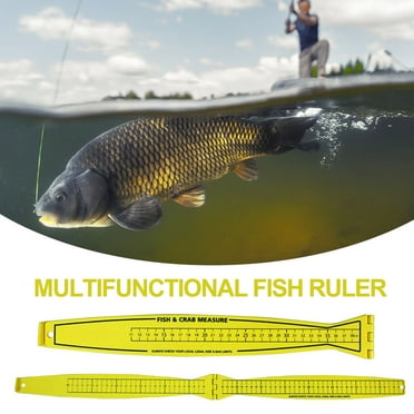 Rapala 36" Adhesive Fish Ruler - Walmart.com