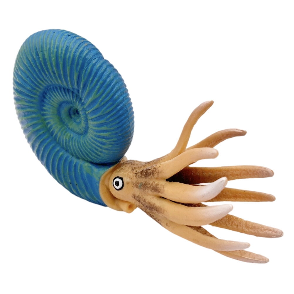 Fish Nautilus Model Sea Creature Model Child 4.3X7.5X11.2CM Blue ...