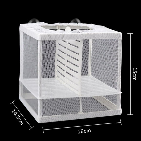 Fish Breeding Boxes