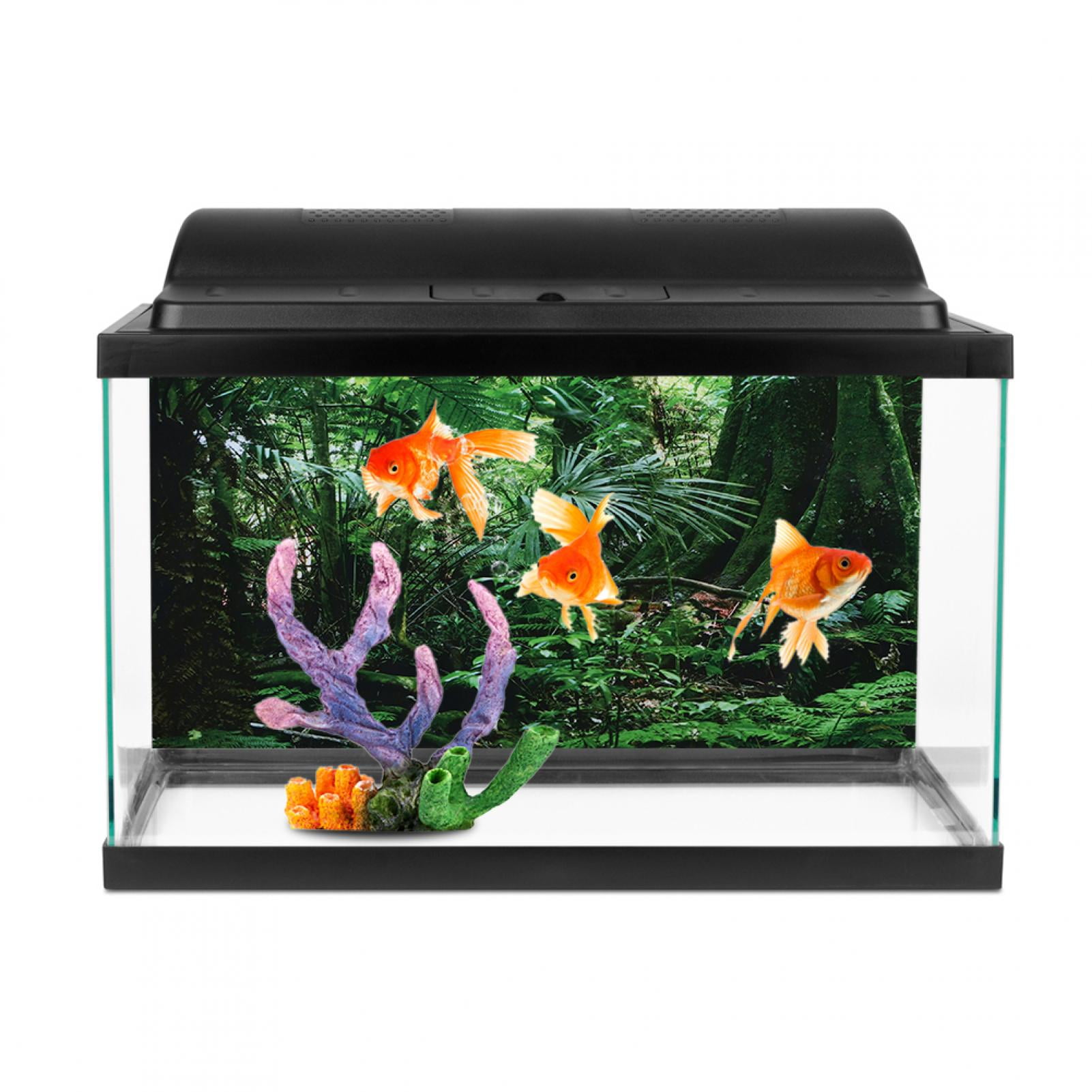 Fish Poster, PVC Reptile Box Rainforest Background Poster Fish Wall ...