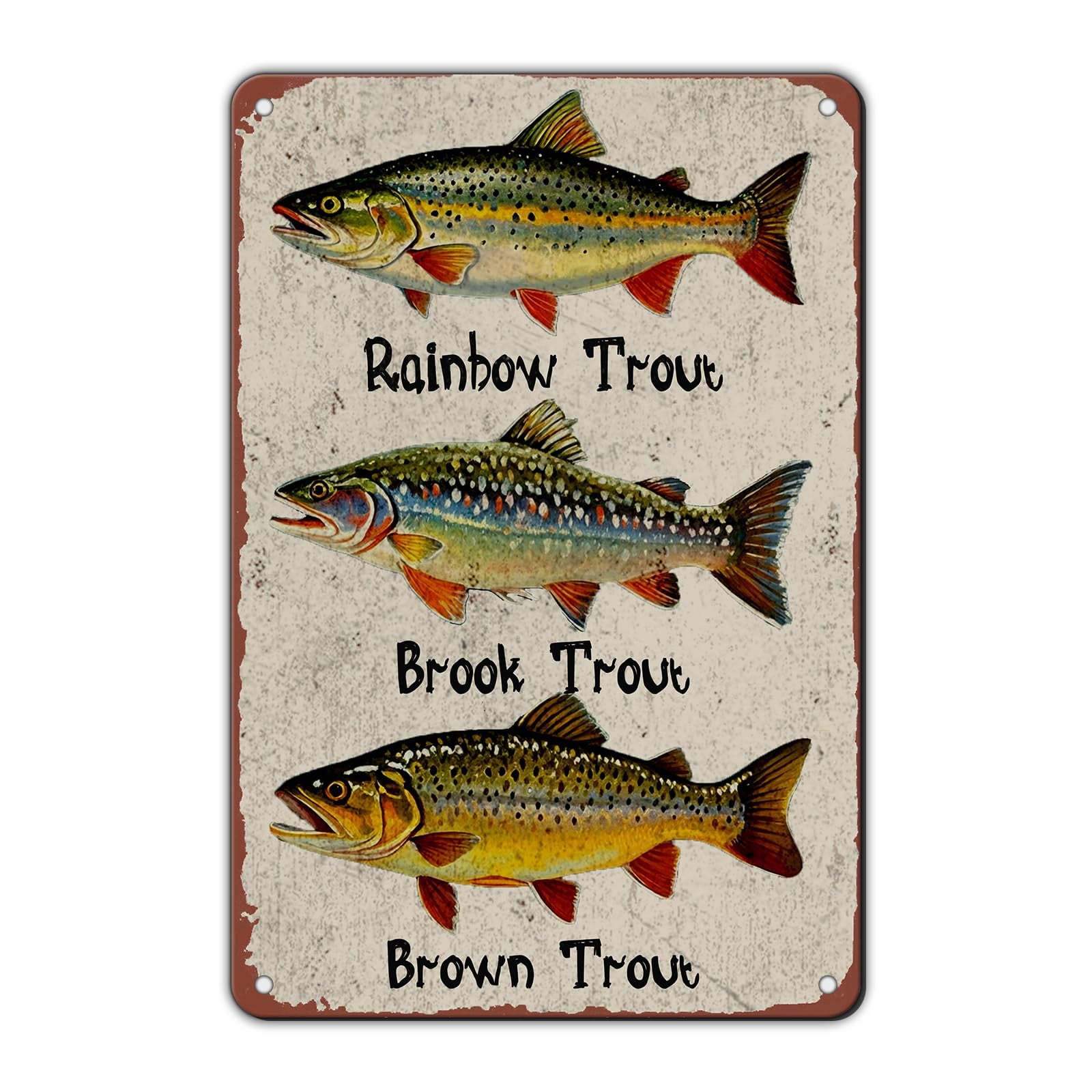 Fish Posters Rainbow Trout Brook Trout Brown Trout Metal Aluminum Sign ...