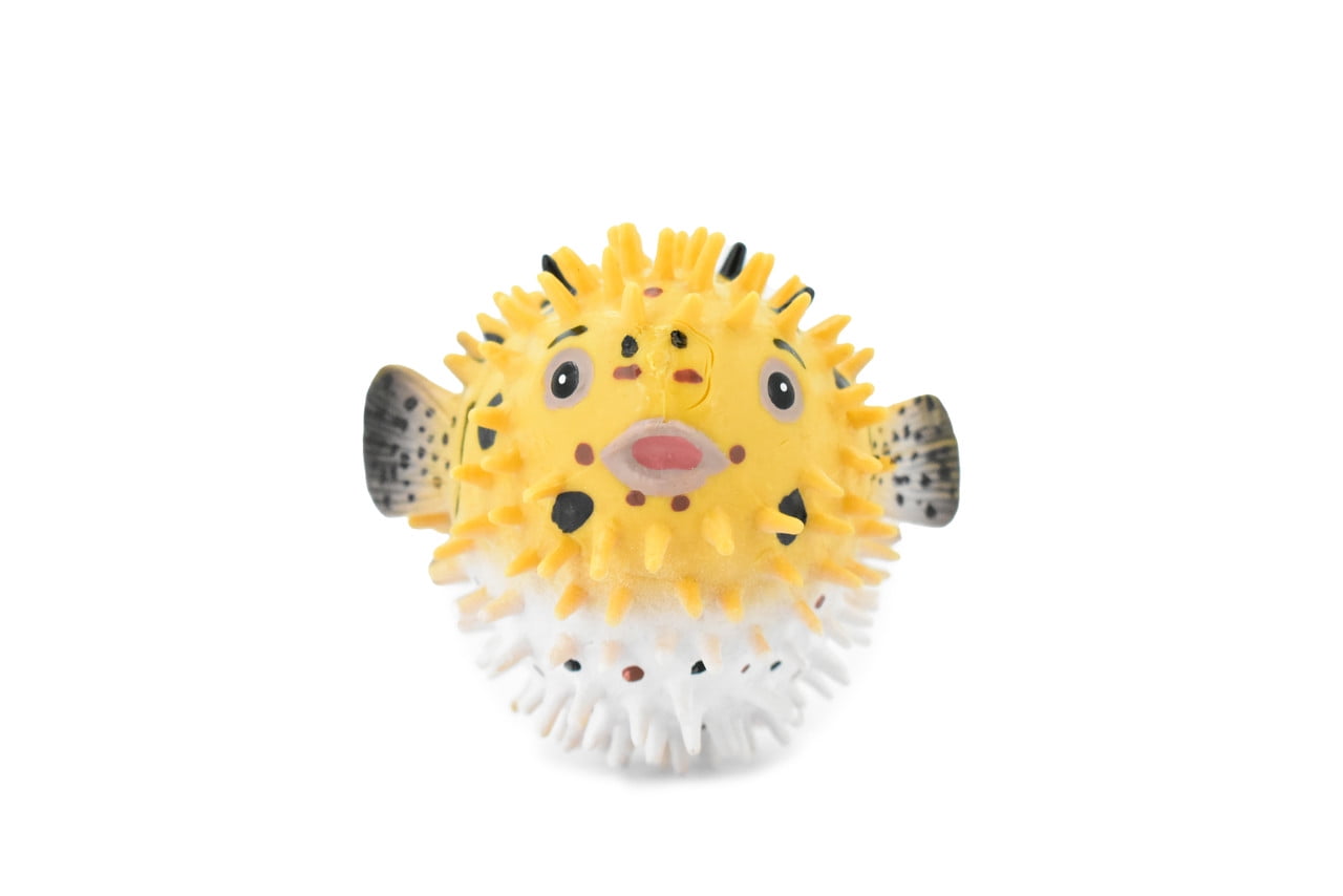 Fish, Puffer, Porcupinefish, “Puffers,” Museum Quality, Hand Painted ...
