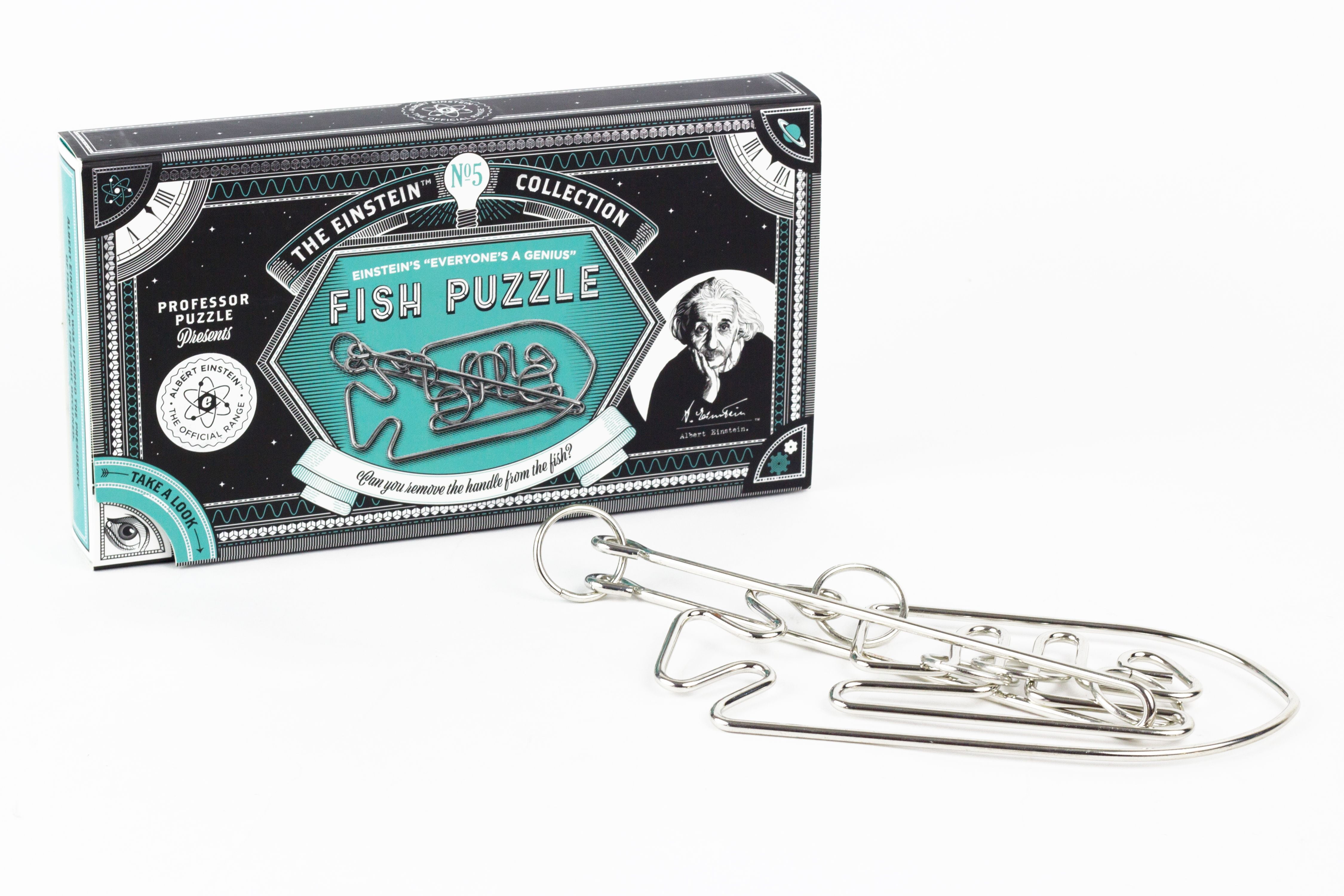 Professor Puzzle Fish Puzzle - 3D Metal Brain Teaser for Adults ...