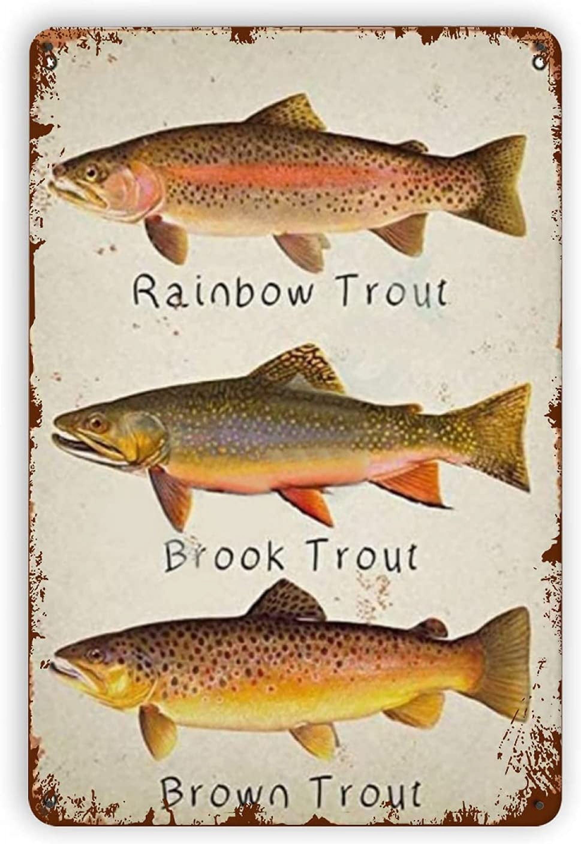 Fish Rainbow Trout Brook Trout Brown Trout Metal Tin Signs Reproduction ...