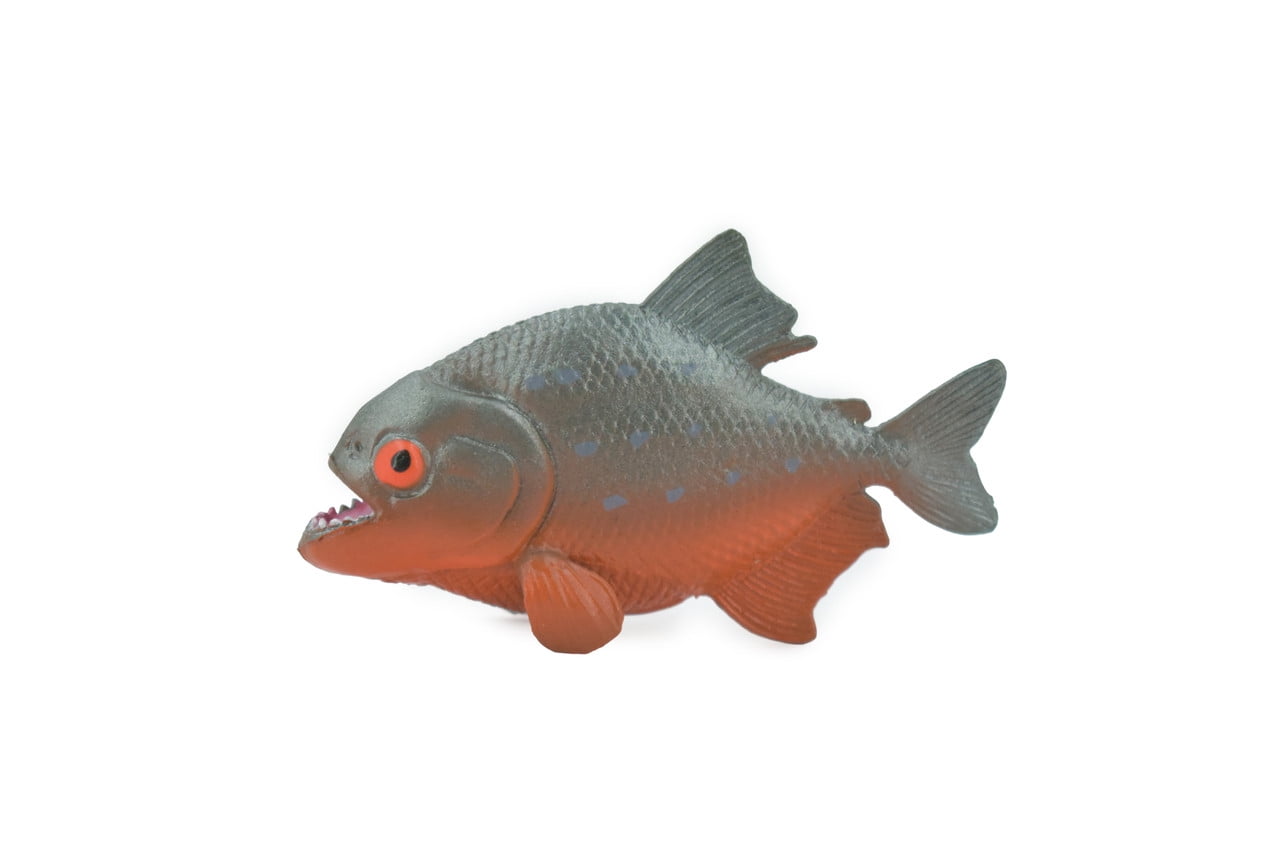 Fish, Red Bellied Pranha, Museum Quality, Hand Painted, Realistic ...