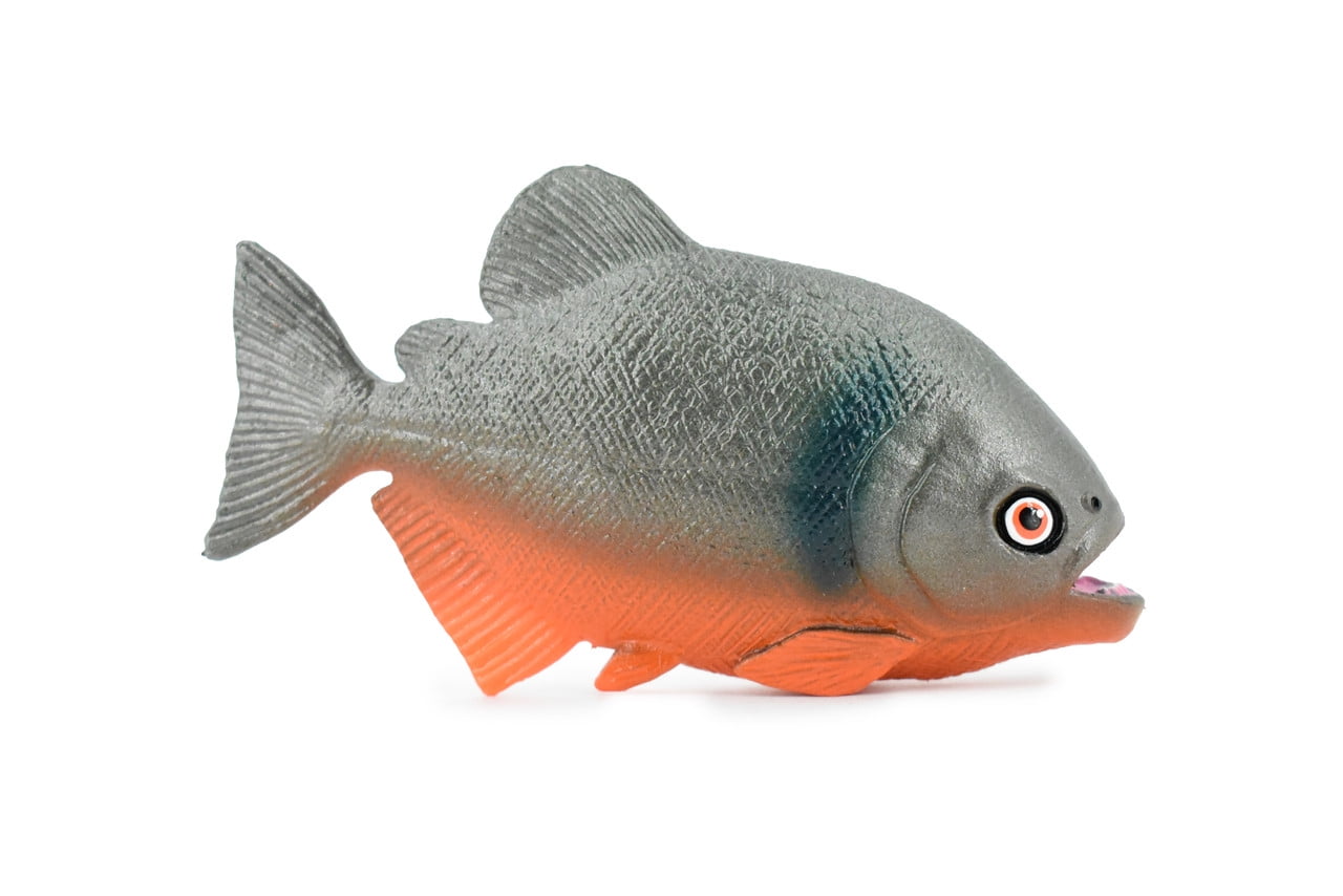 Fish, Red-Bellied Pranha, Museum Quality, Hand Painted, Rubber Fish ...