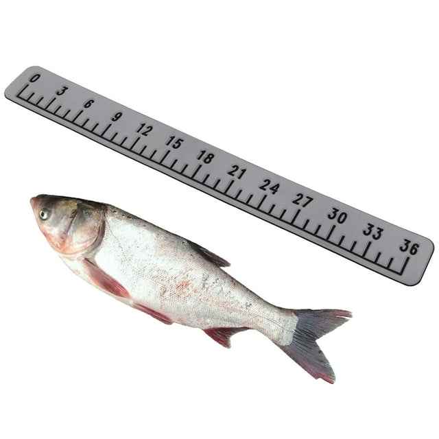 Fish Ruler for Boat, 36in EVA Foam Fish Measuring Tape, Self-Adhesive ...