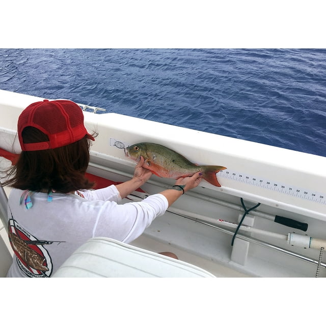 Original Boat Ruler Fish Measuring Sticker Decal - Waterproof & Durable ...