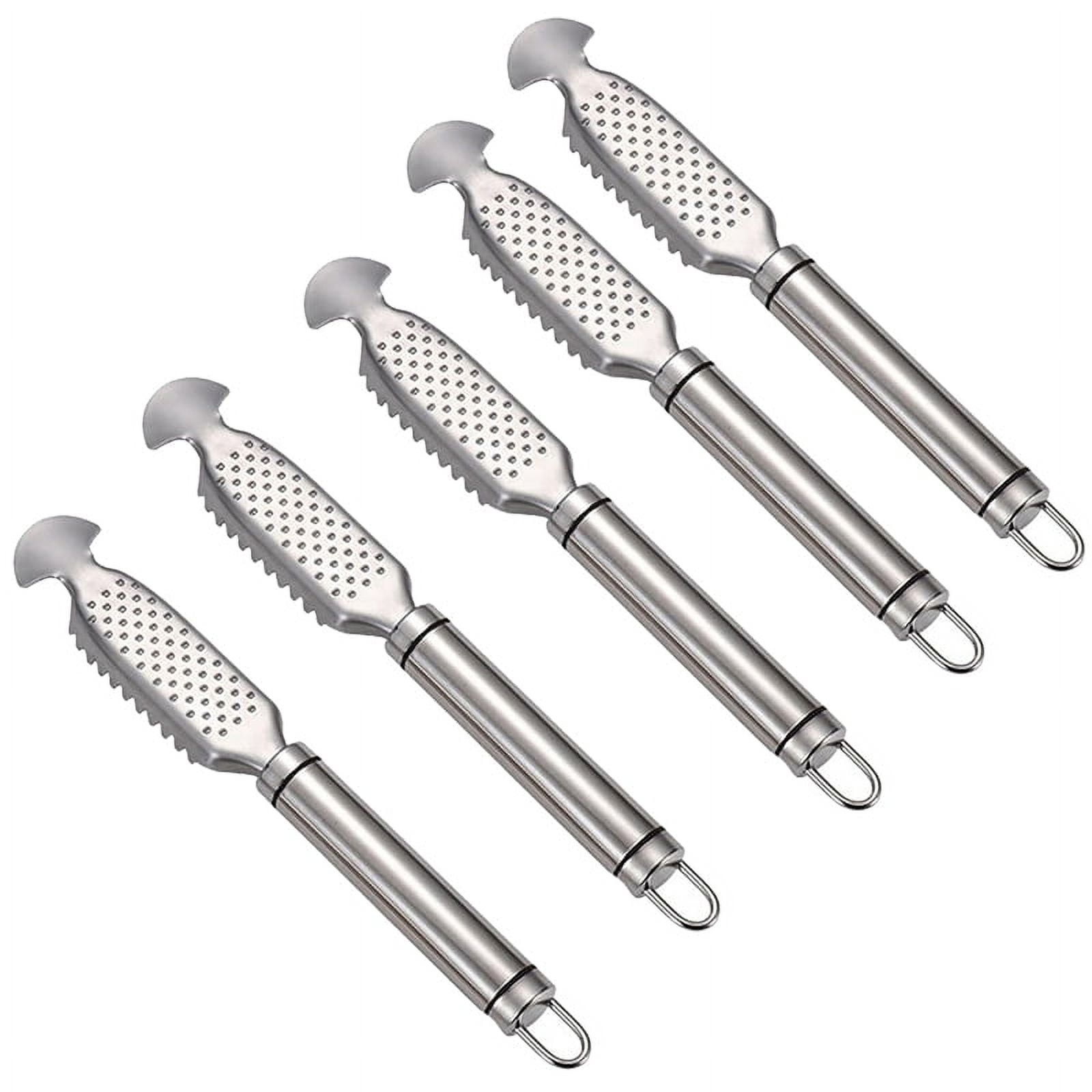 Fish Scale Scraper Tool, Multi-Purpose Fish Scale Cleaning Kit, Fish ...