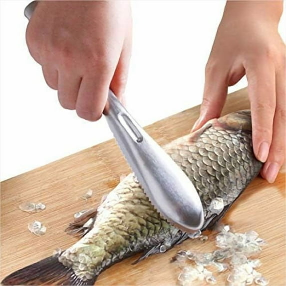 Fish Scaler Brush Fish Scaler Remover with Stainless Steel Sawtooth ...