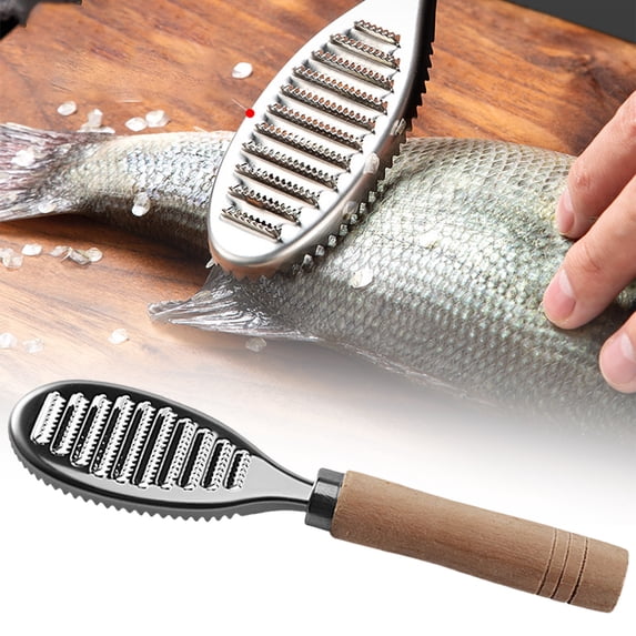 Fish Scaler Brush, Stainless Steel Fish Scaler Remover, Sawtooth Fish ...