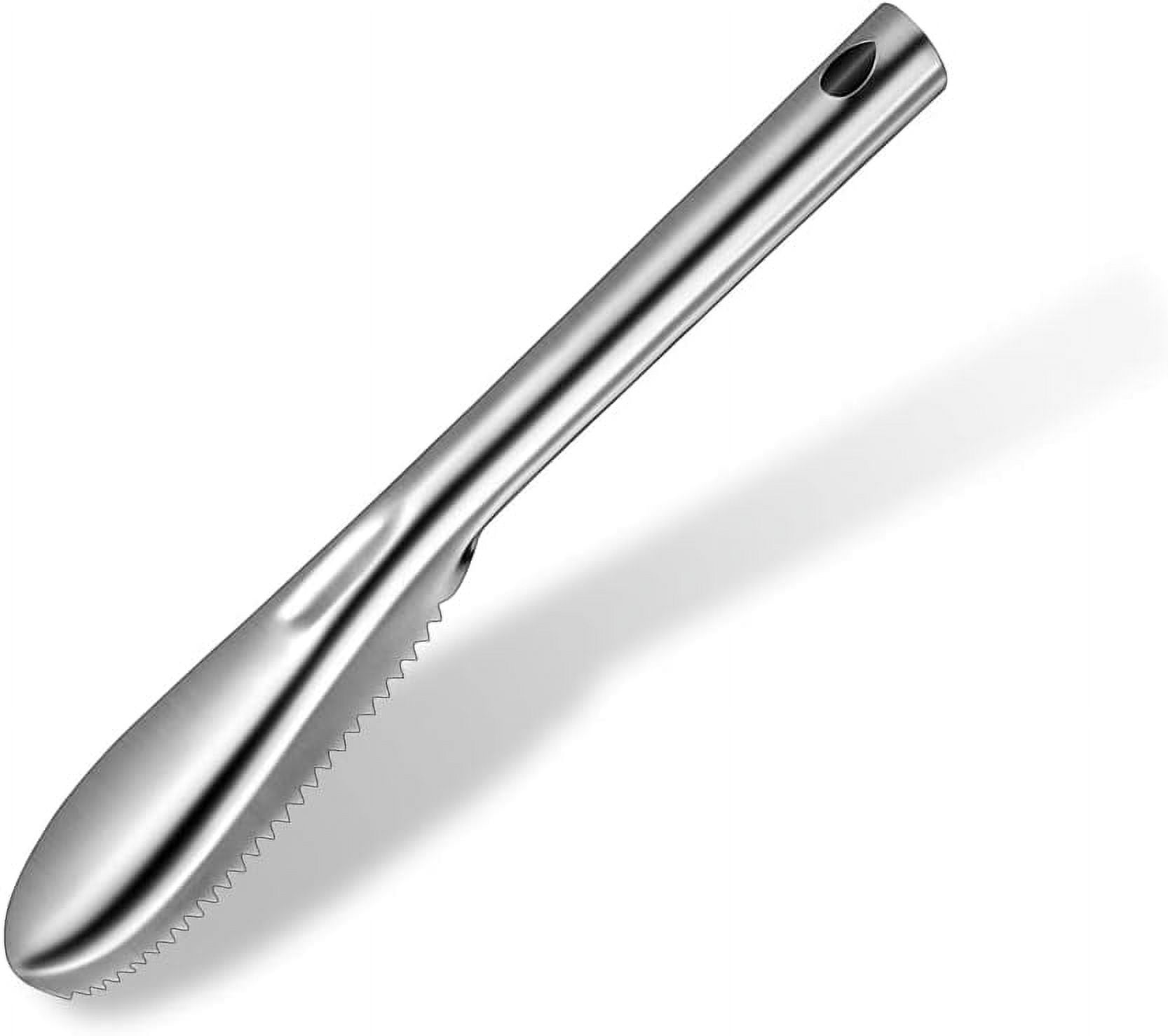 Fish Scaler Stainless Steel Fish Scaler Remover No Mess - Sturdy Fish ...