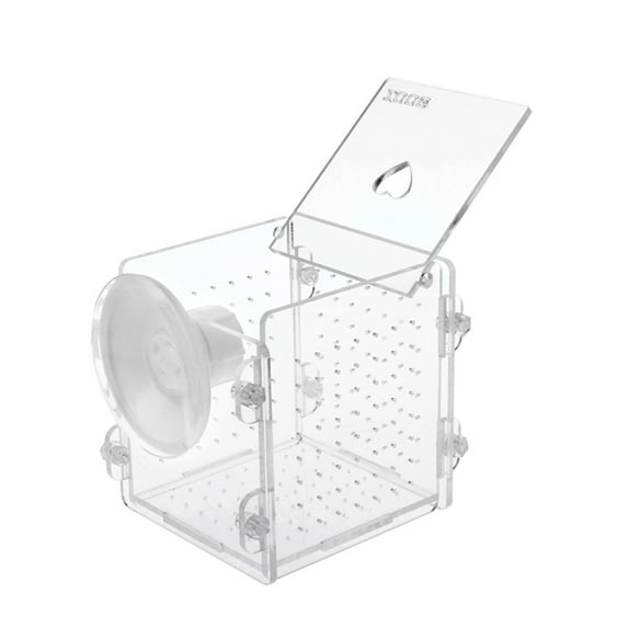 Fish Separation Breeder Box Acrylic Transparent Fish for Breeding Isolation Boxes Aquarium ...
