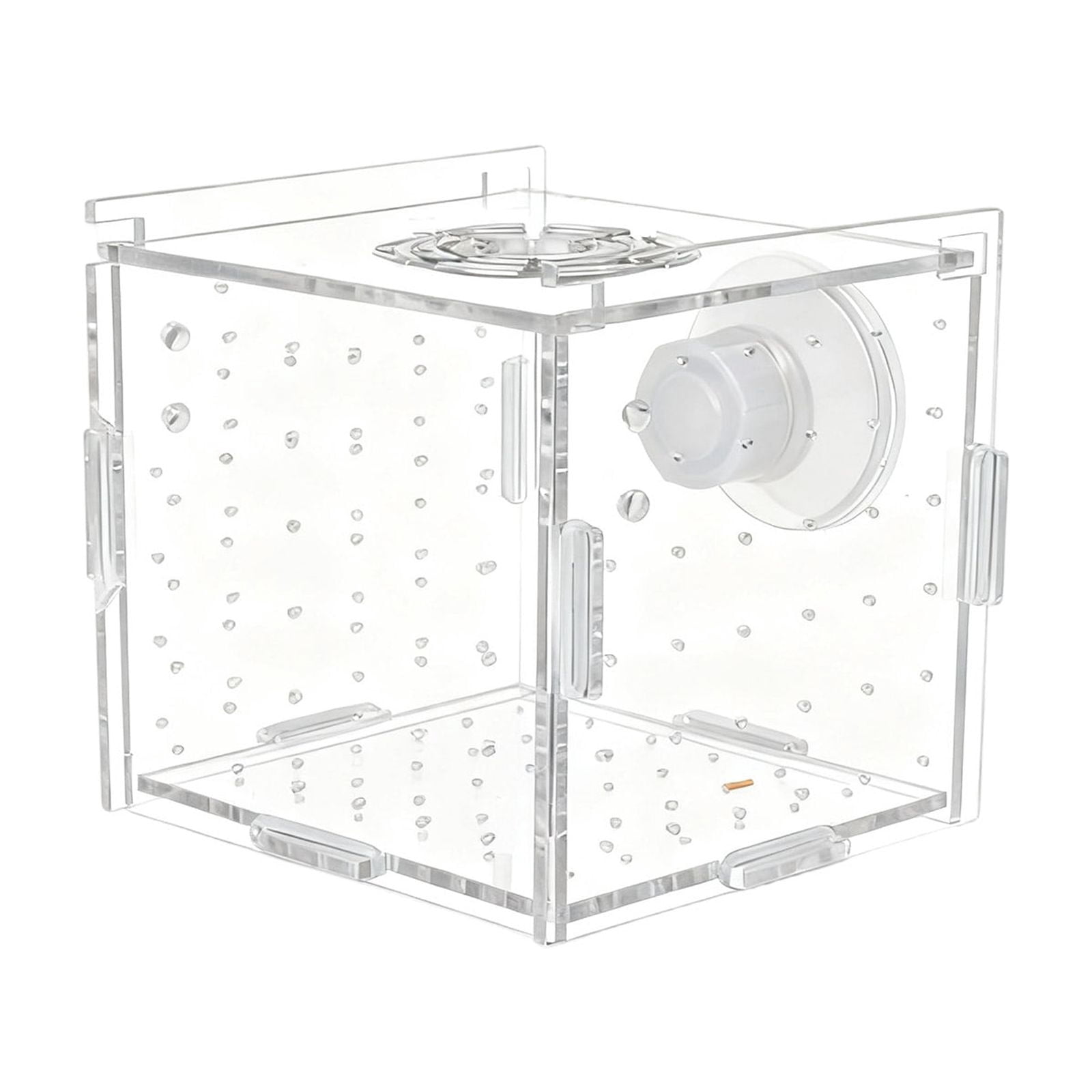 Fish Separator Aquarium Breeder Clear Isolation Hatchery for Fish Fry ...