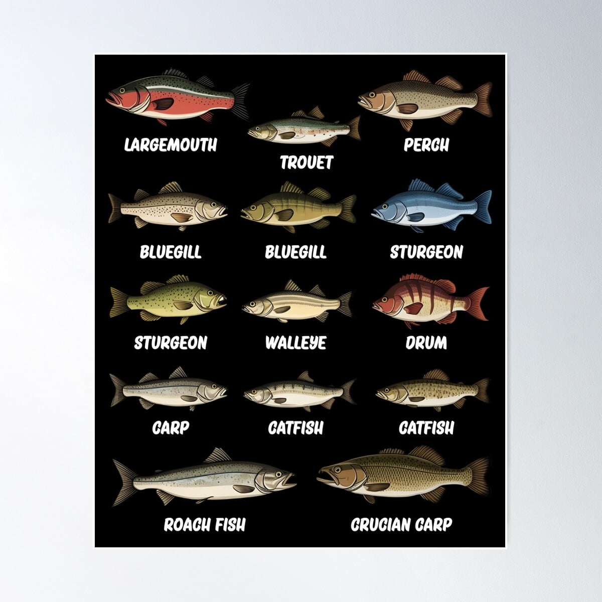 Fish Species Biology Types Of Freshwater Fish Fisherman Anglers Poster ...