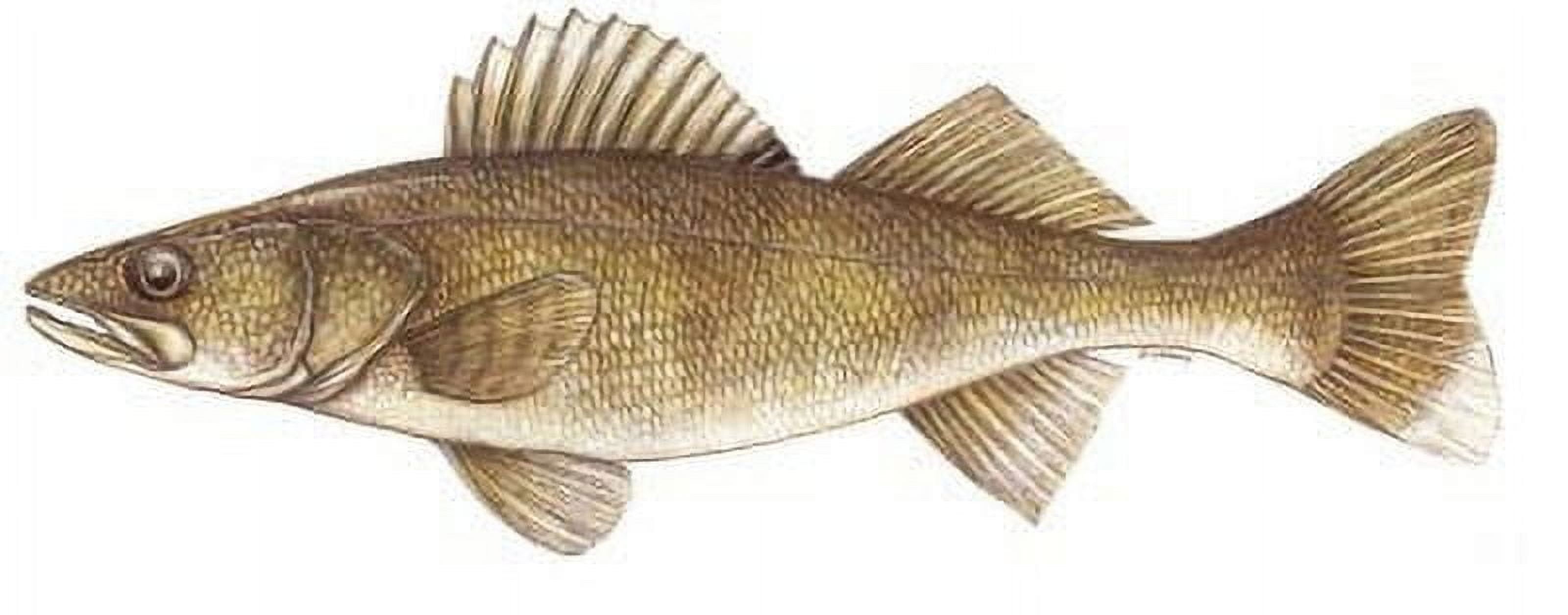 Fish Stix Wall Decal - Walmart.com