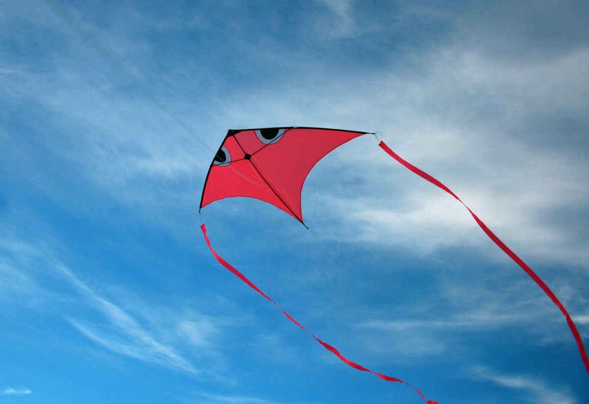 Fish Swim In Sky Delta Kite with Flying Line and Handle (Orange ...