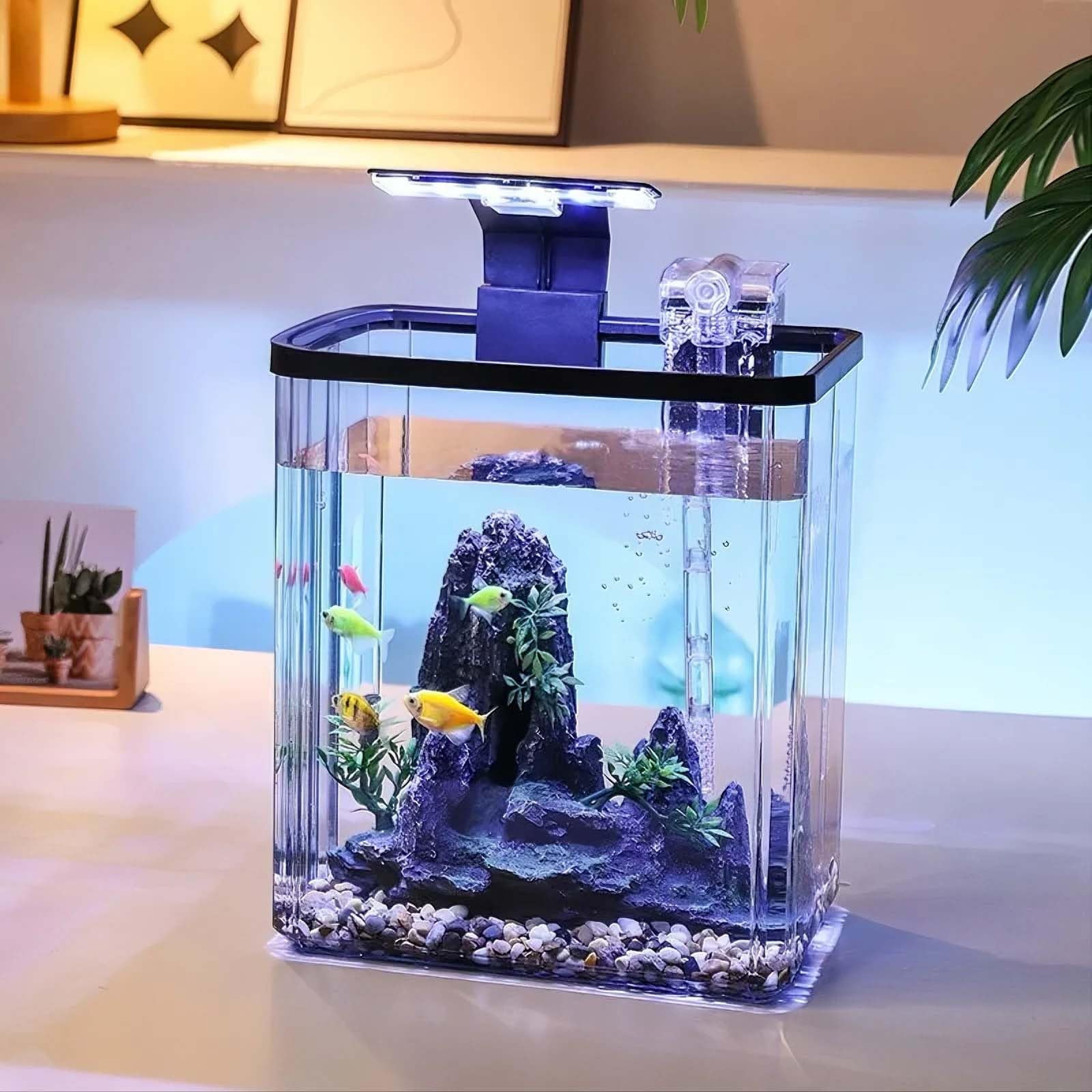 Fish Tank 10L, Aquarium Starter Kits with LED Lighting & Quiet Pump ...