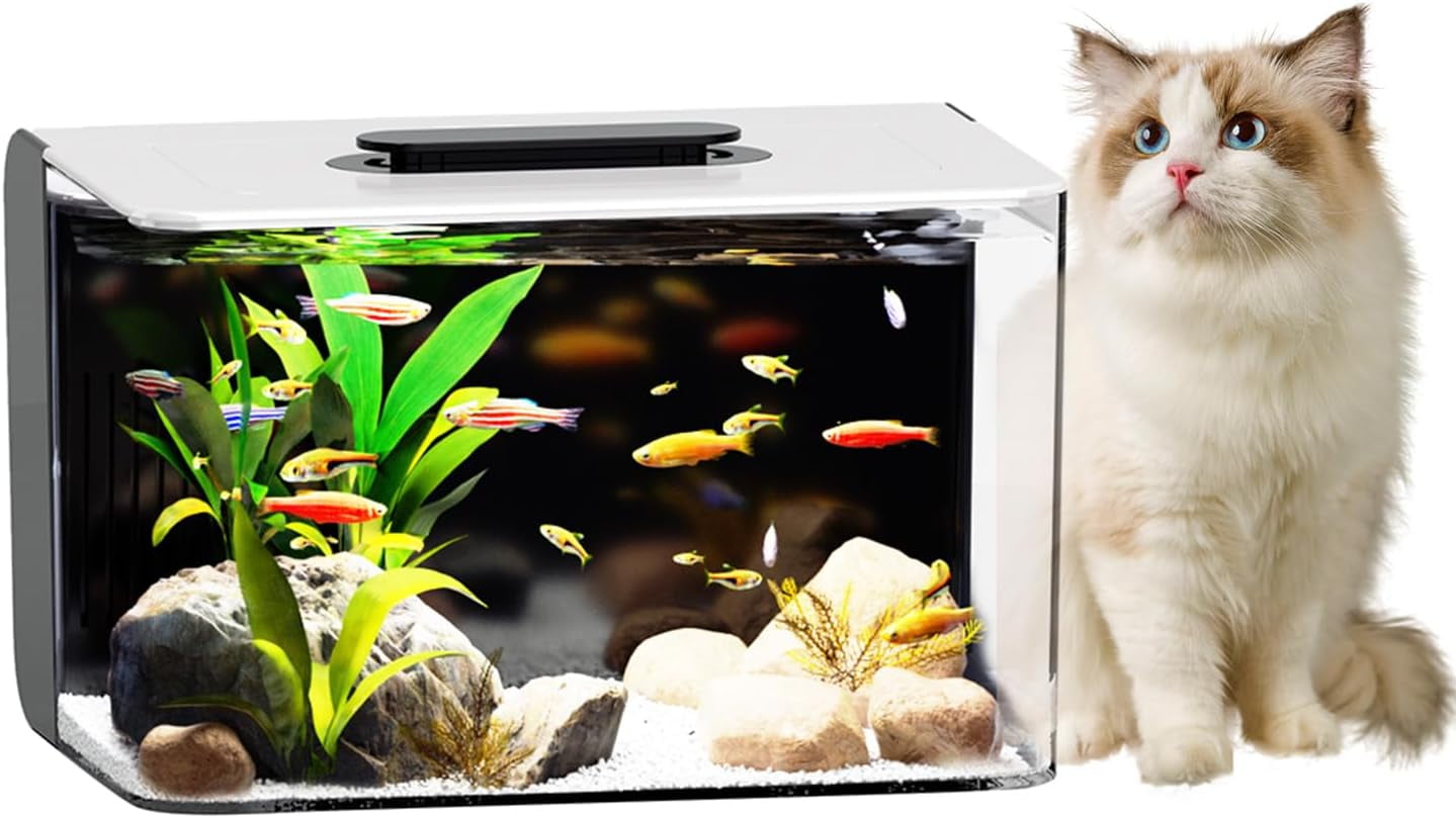 Fish Tank, 2.5 Gallon Aquarium Kit with Filter, Light, Self Cleaning ...