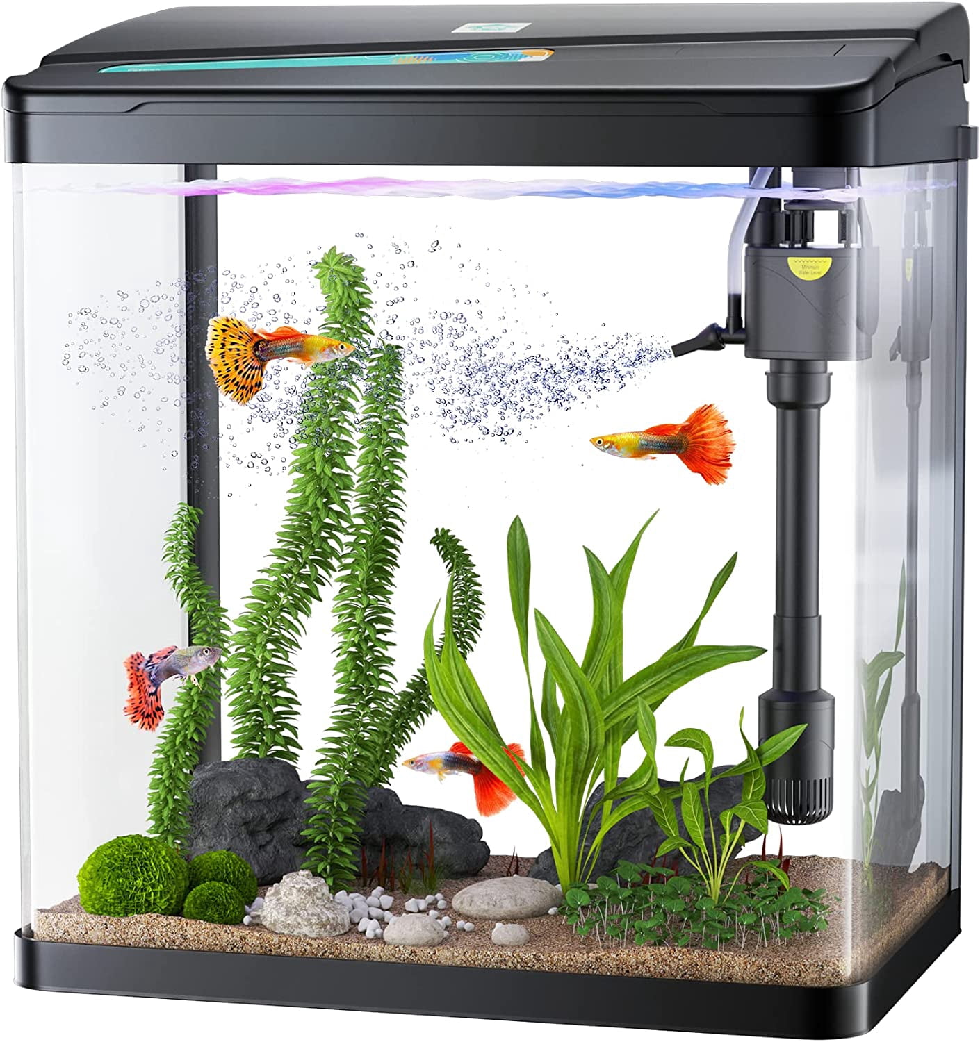 Fish Tank, 3 Gallon Glass Aquarium, 3 in 1 Fish Tank with Filter and ...