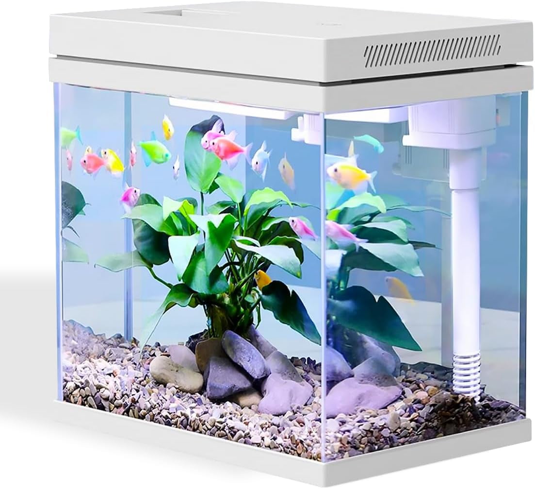 Fish Tank, 4 Gallon Nano-Aquarium, Upgrade Filter System and LED Light ...