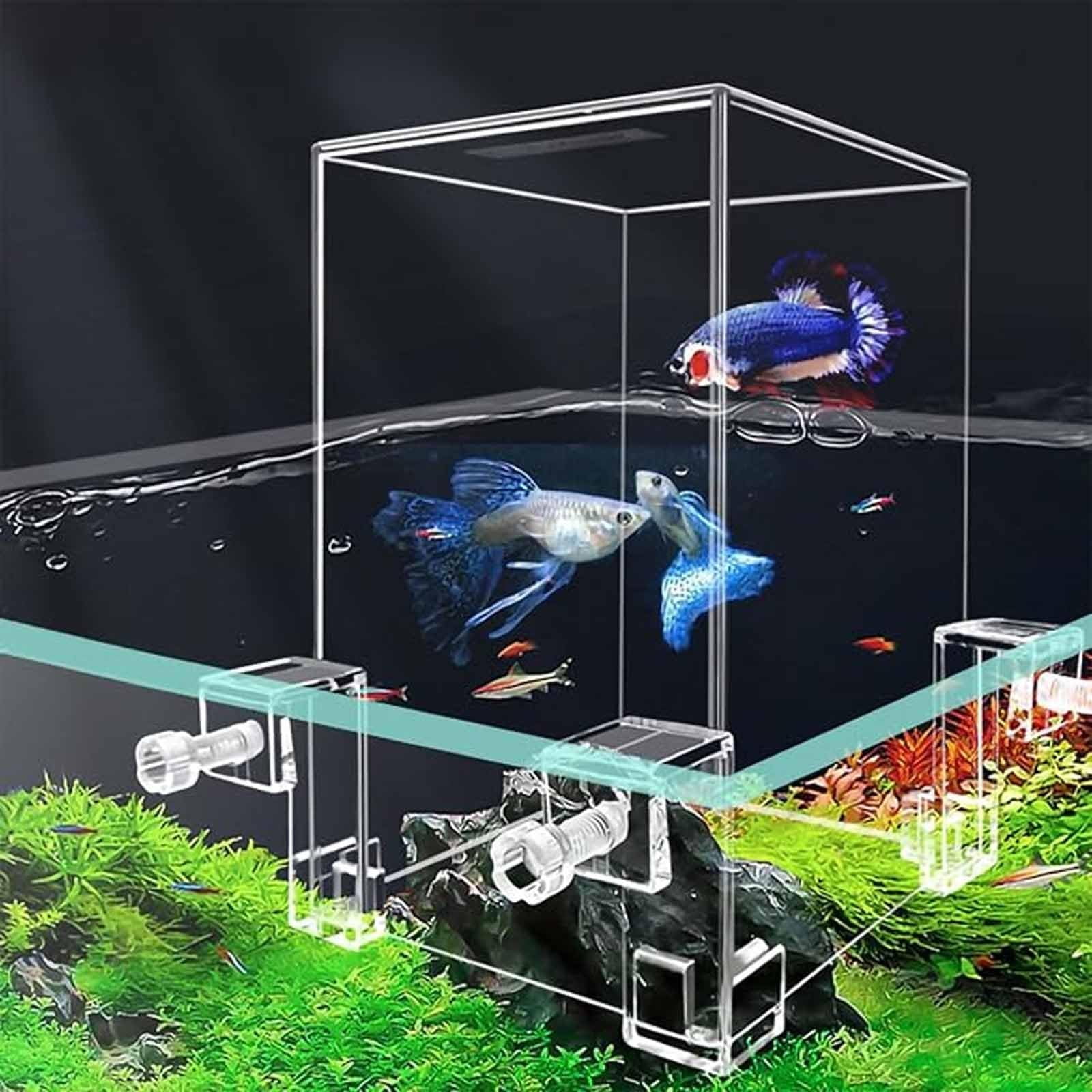 Fish Tank Aquarium Lookout Tower, Negative Pressure Vacuum Suspended ...