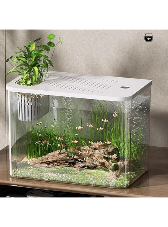 Turtle Tanks in Turtles - Walmart.com