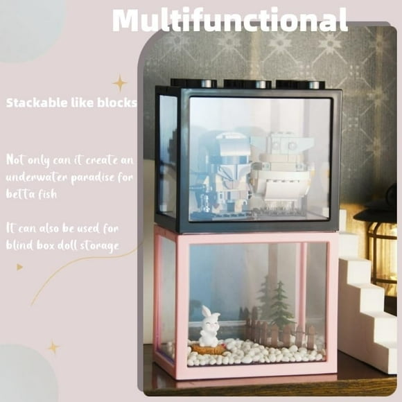 60 Gallon Cube Aquarium