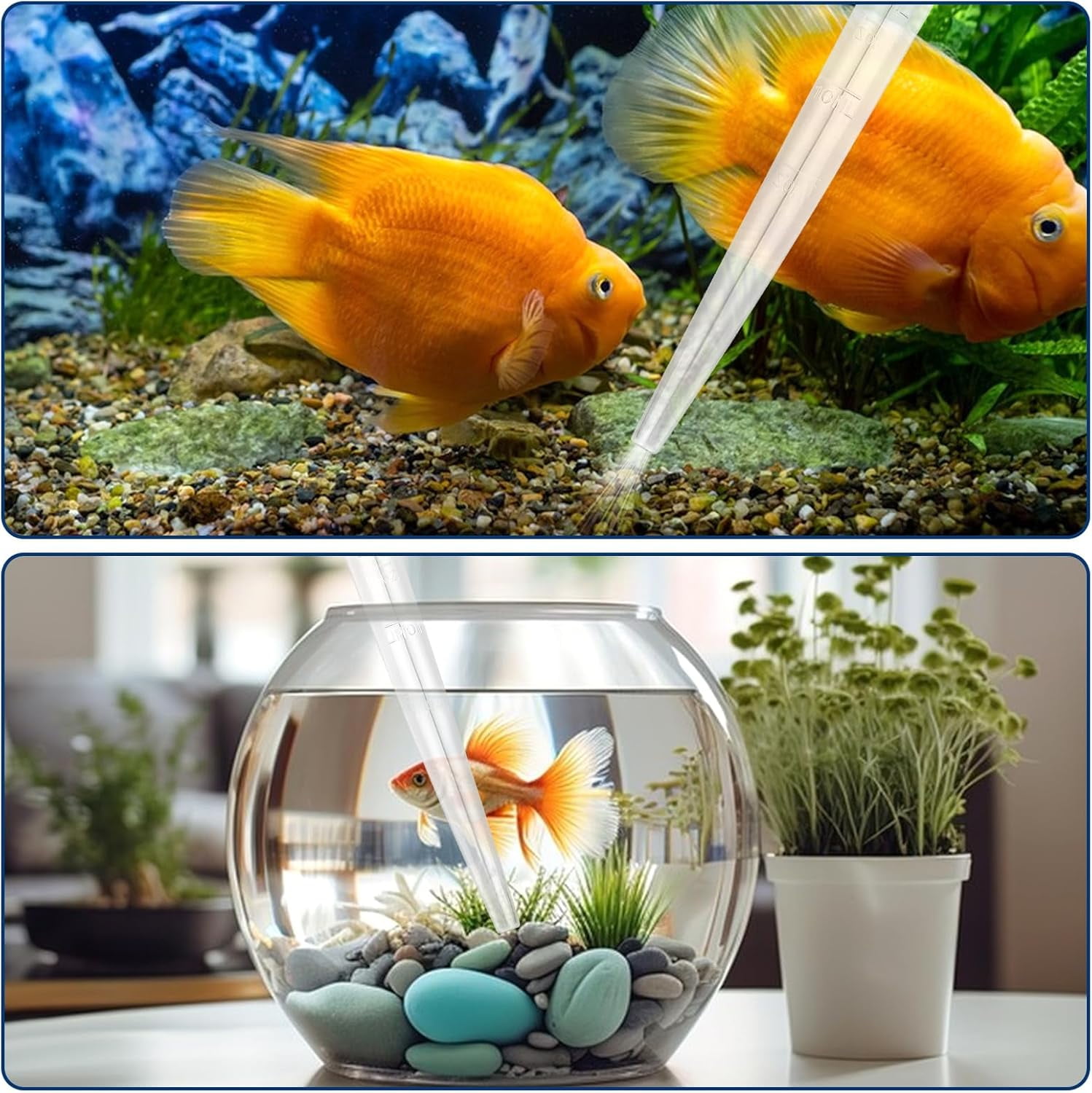 Fish Tank Cleaning Waste Remover, Dropper Pipette for Aquarium Cleaning ...