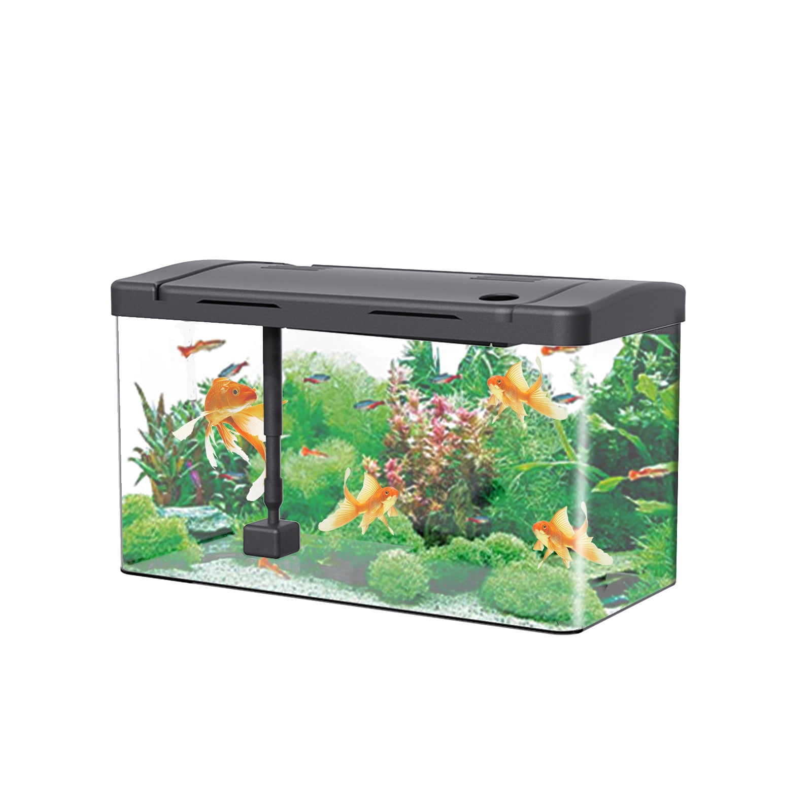 Fish Tank,Mini Desktop Rectangular Fish Tank With Filter And Oxygen ...