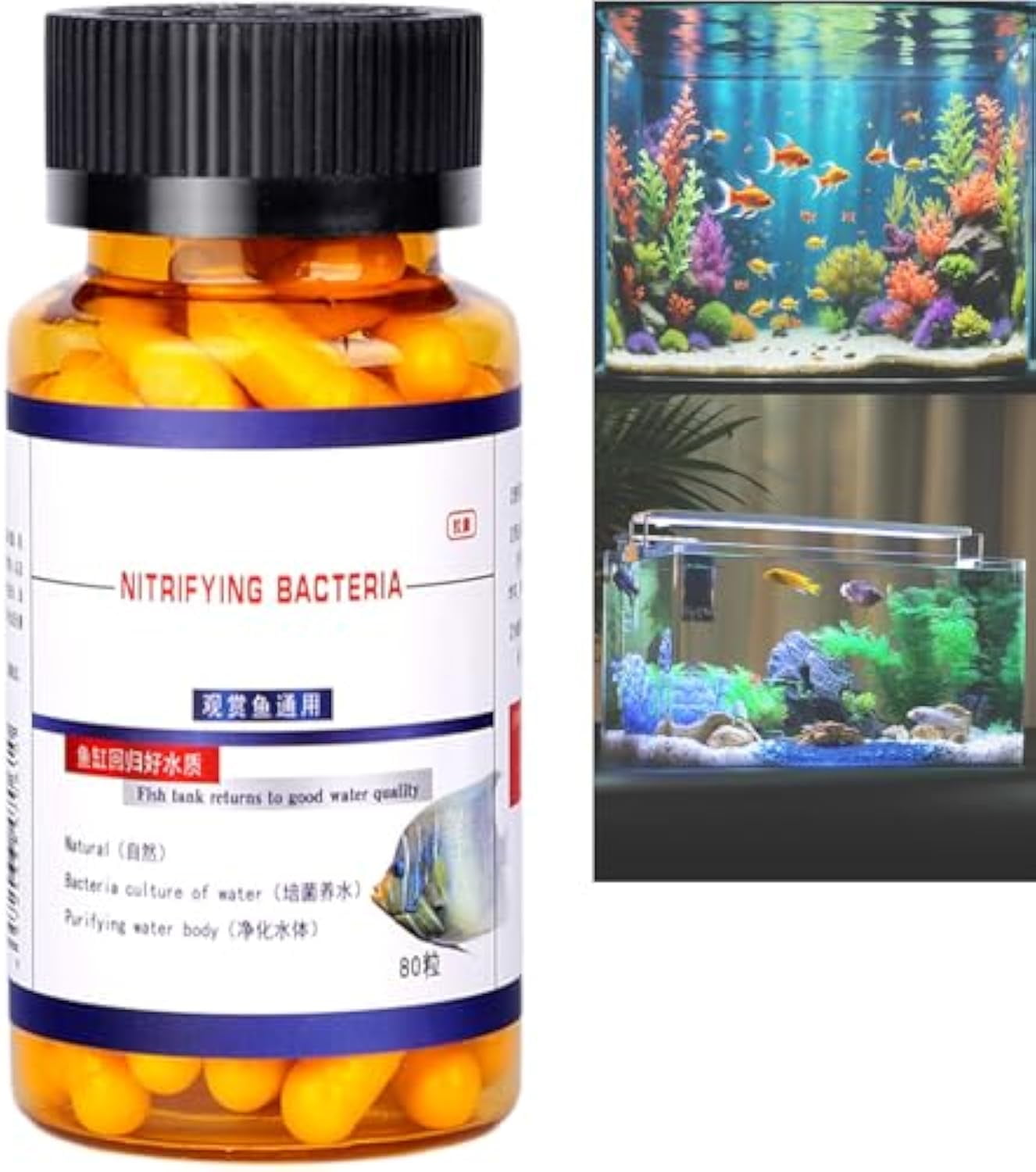 Fish Tank Water Purification Capsule,Portable Aqua Water Purification ...