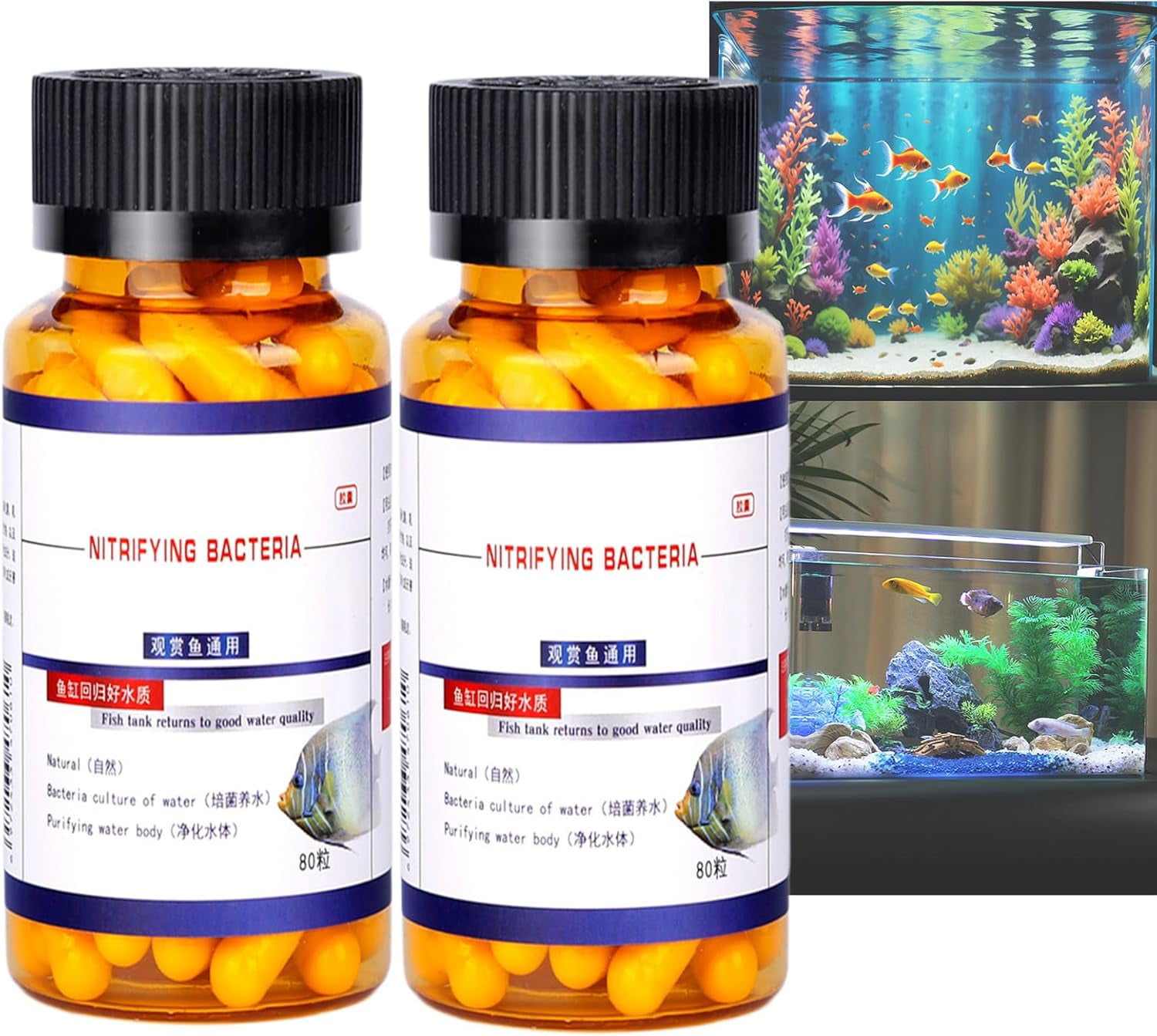 Fish Tank Water Purification Capsule,Portable Aqua Water Purification ...