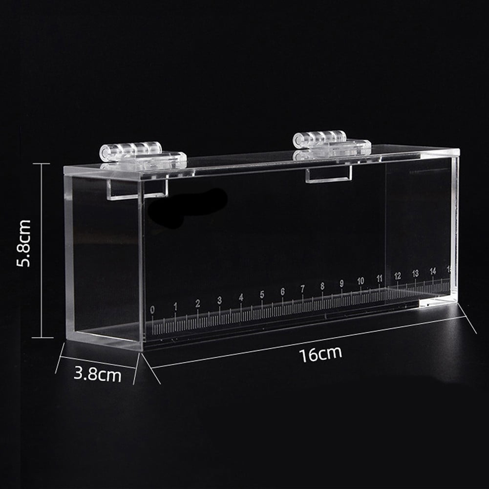 Fish Viewing Box High Clear with Scale Fish Box Fish Tank for ...