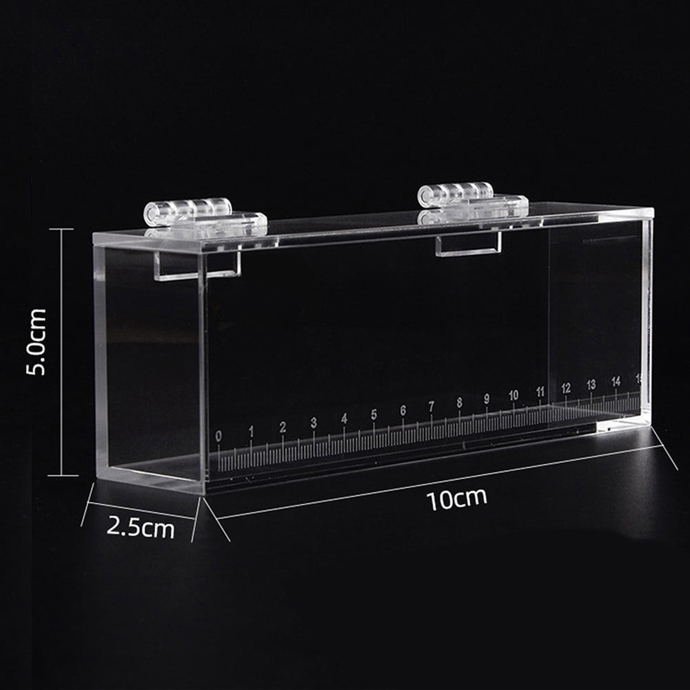 Fish Viewing Box High Clear With Scale Fish Box Fish Tank For ...