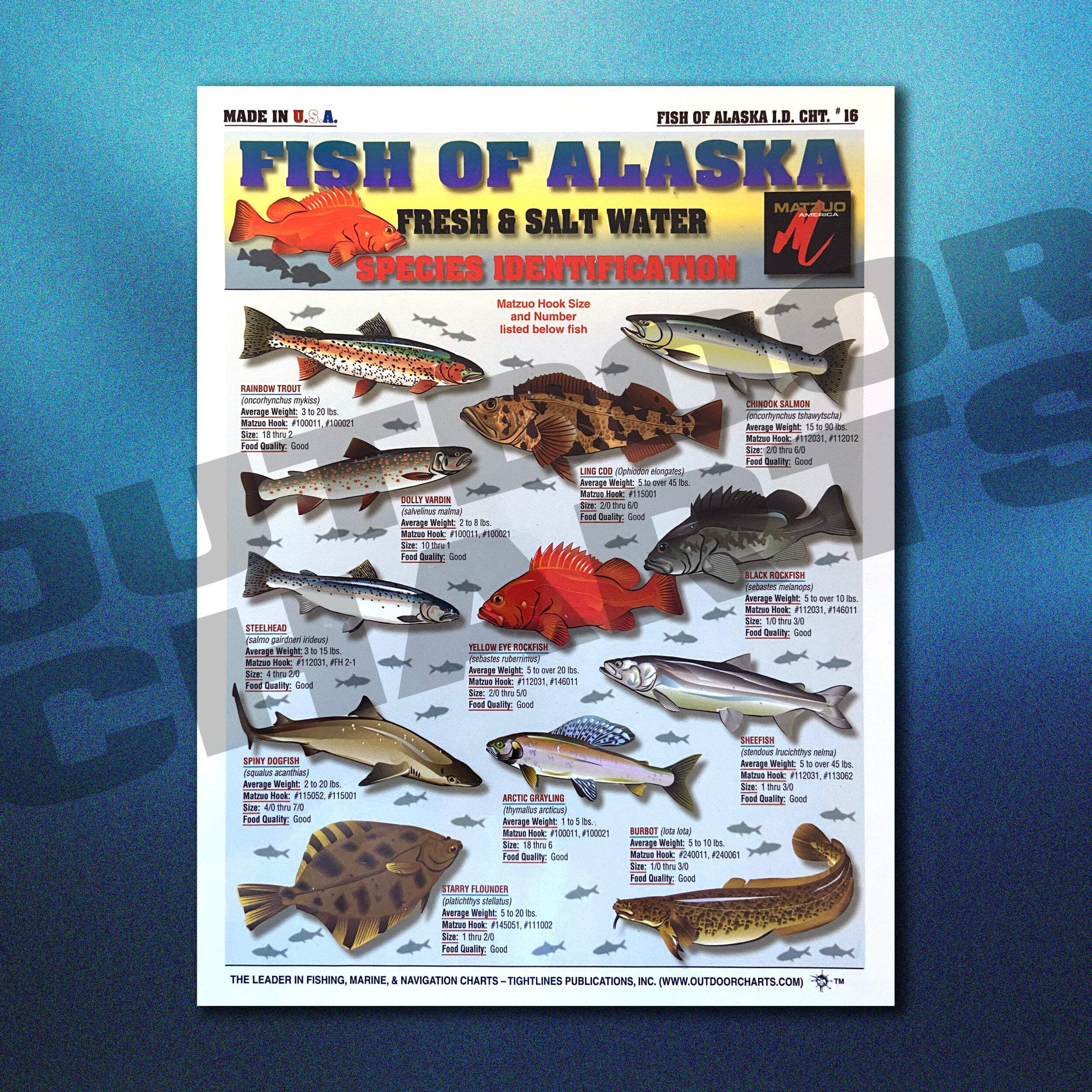 Fish of Alaska Species Identification Chart #16 (Freshwater Saltwater ...