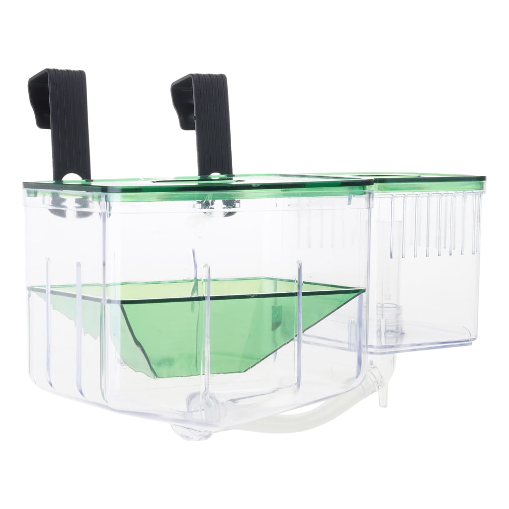 FishTanks Hatchery Incubator Aquarium Small Breeding Box Clear Breeder ...