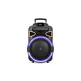 Fisher Portable Bluetooth Wireless Speaker System: 15" Subwoofer 80W ...