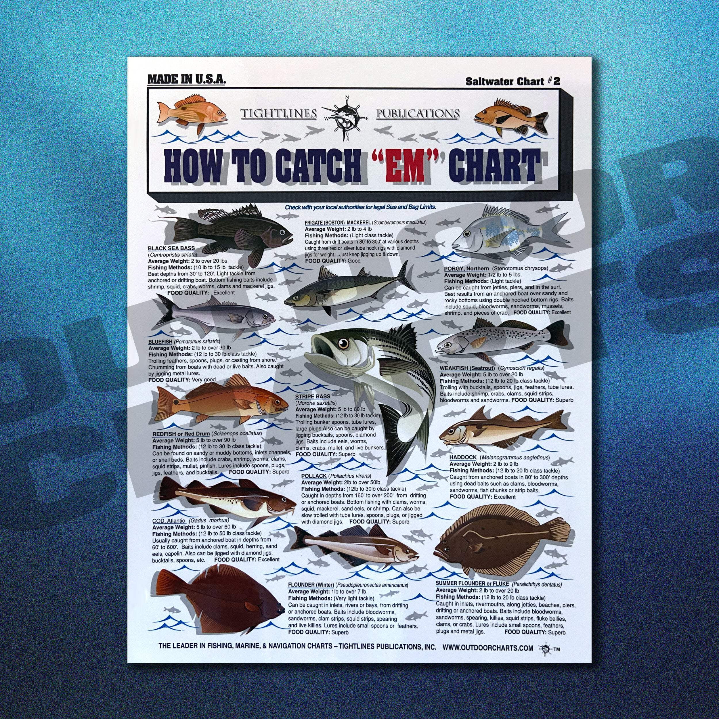 Fishermen's How to Catch 'Em Fish Identification Chart #2 (Saltwater ...