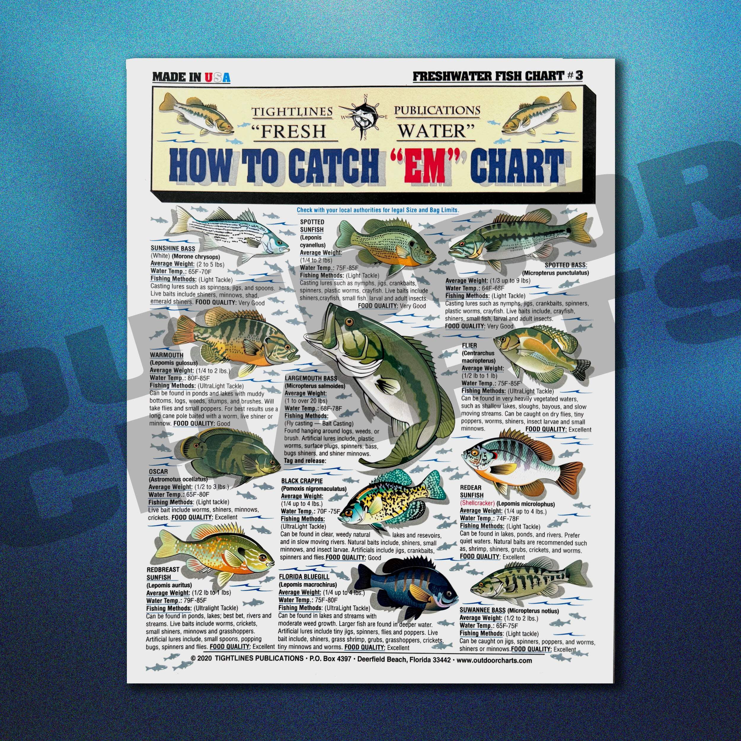 Fishermen's How to Catch 'Em Freshwater Fish Identification Chart #3 ...