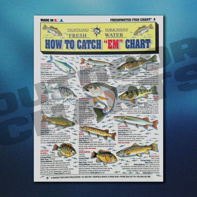 Fishermen's How to Catch 'Em Freshwater Fish Identification Chart #4 ...